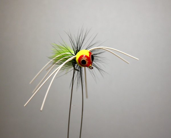 Rollie Pollie Bug | Breambugs.com