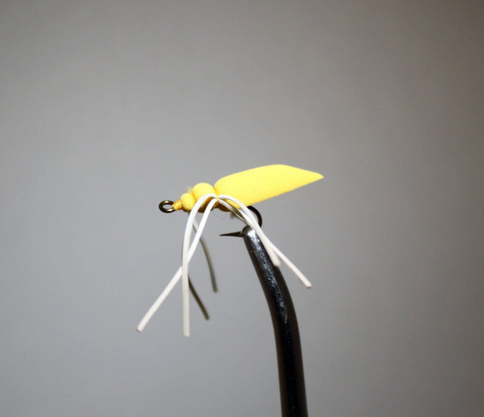 Yellow Dry Cricket | Breambugs.com