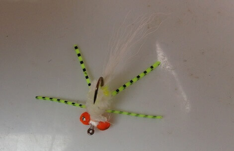 Glow Bugs – Breambugs.com